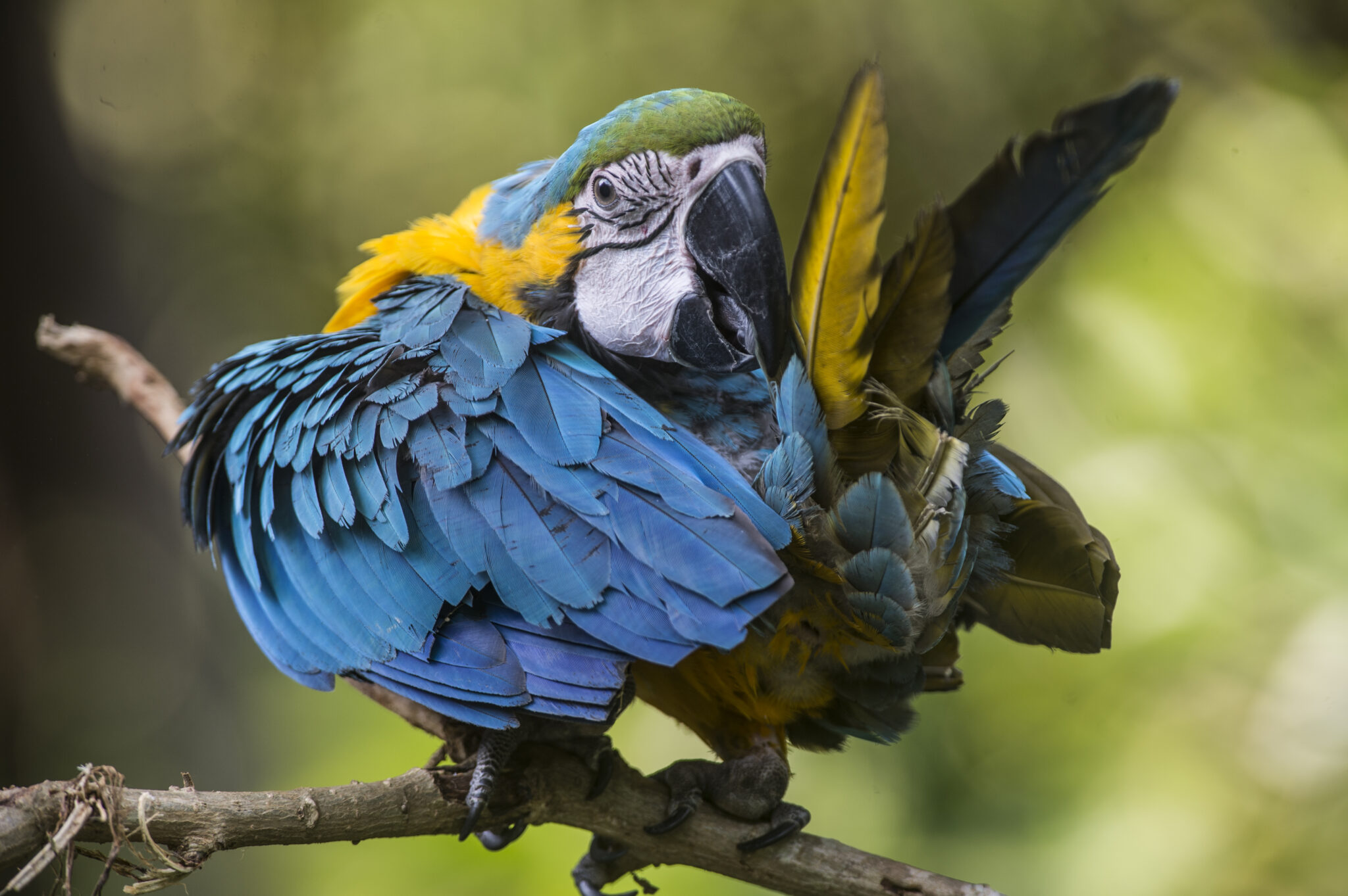 Perú, un destino para reconectar con la naturaleza - The Travel Citizen